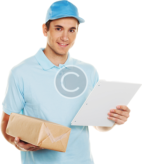 Our Services - Cassidy and Co. LLC